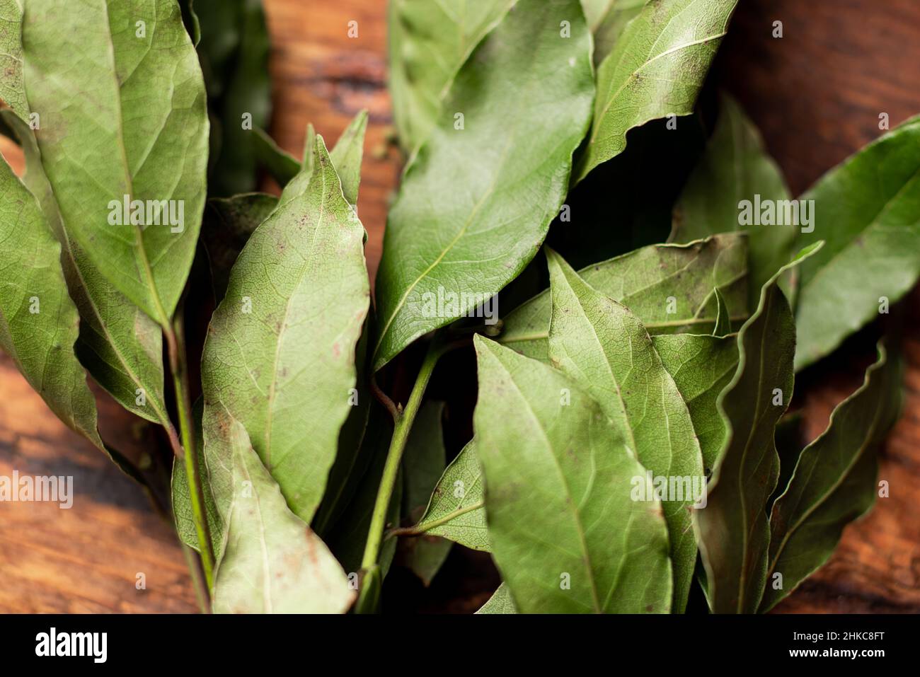 Green bay leaves hi-res stock photography and images - Alamy