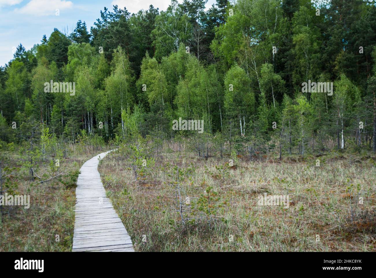 Nature footpath hi-res stock photography and images - Alamy