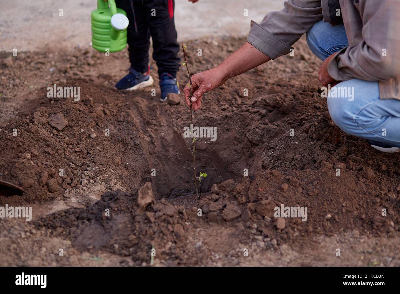 Grandpa tree hi-res stock photography and images - Alamy