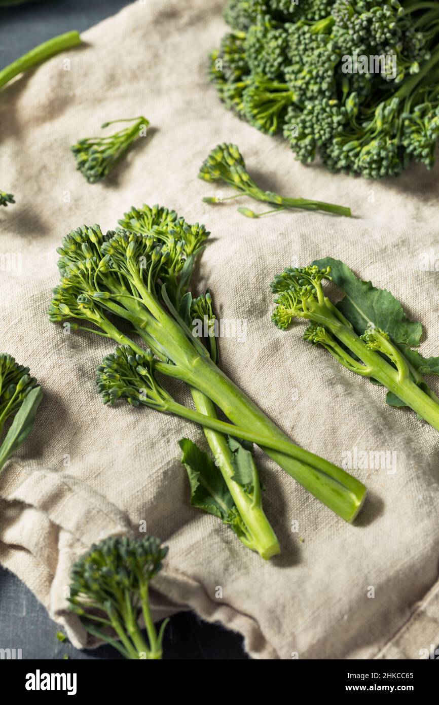 Raw Organic Fresh Broccolini Vegetable Ready to Cook Stock Photo - Alamy