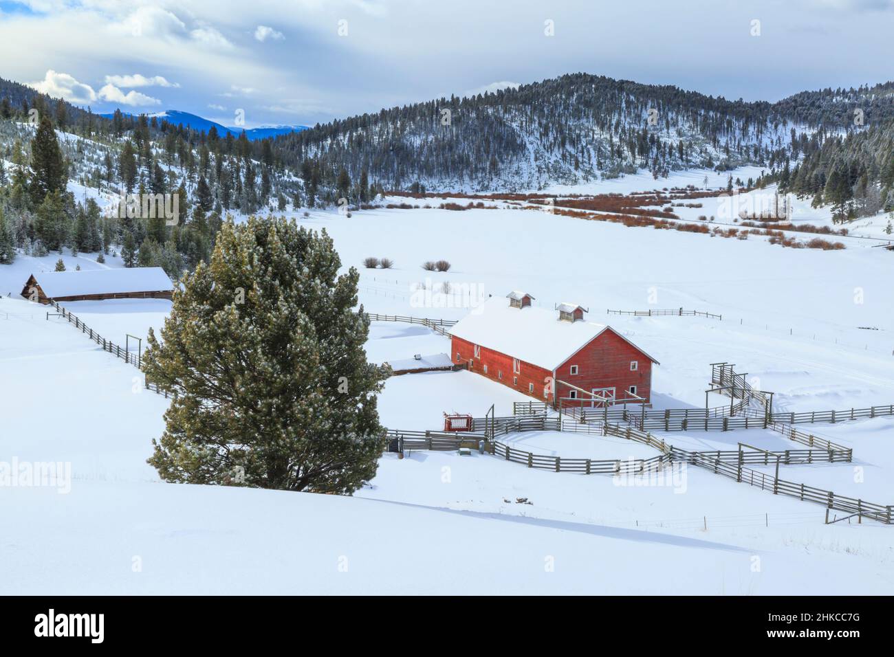 classic old red barn in winter in the dog creek valley near elliston ...