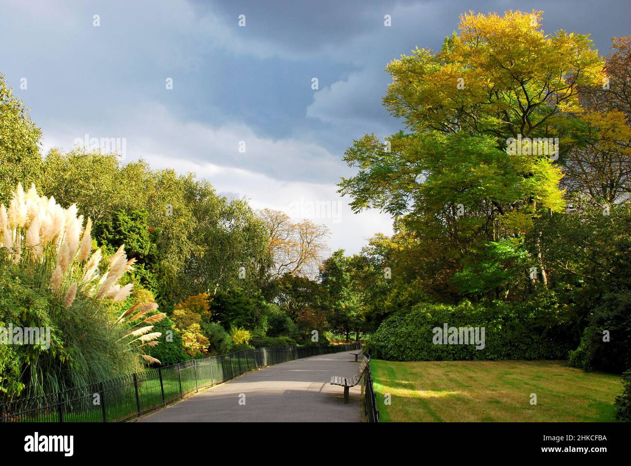 autumn scene in London Stock Photo - Alamy