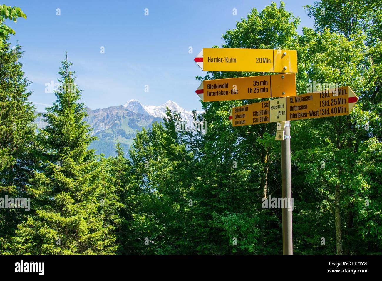 Trekking road signs with a beautiful forest view background in ...