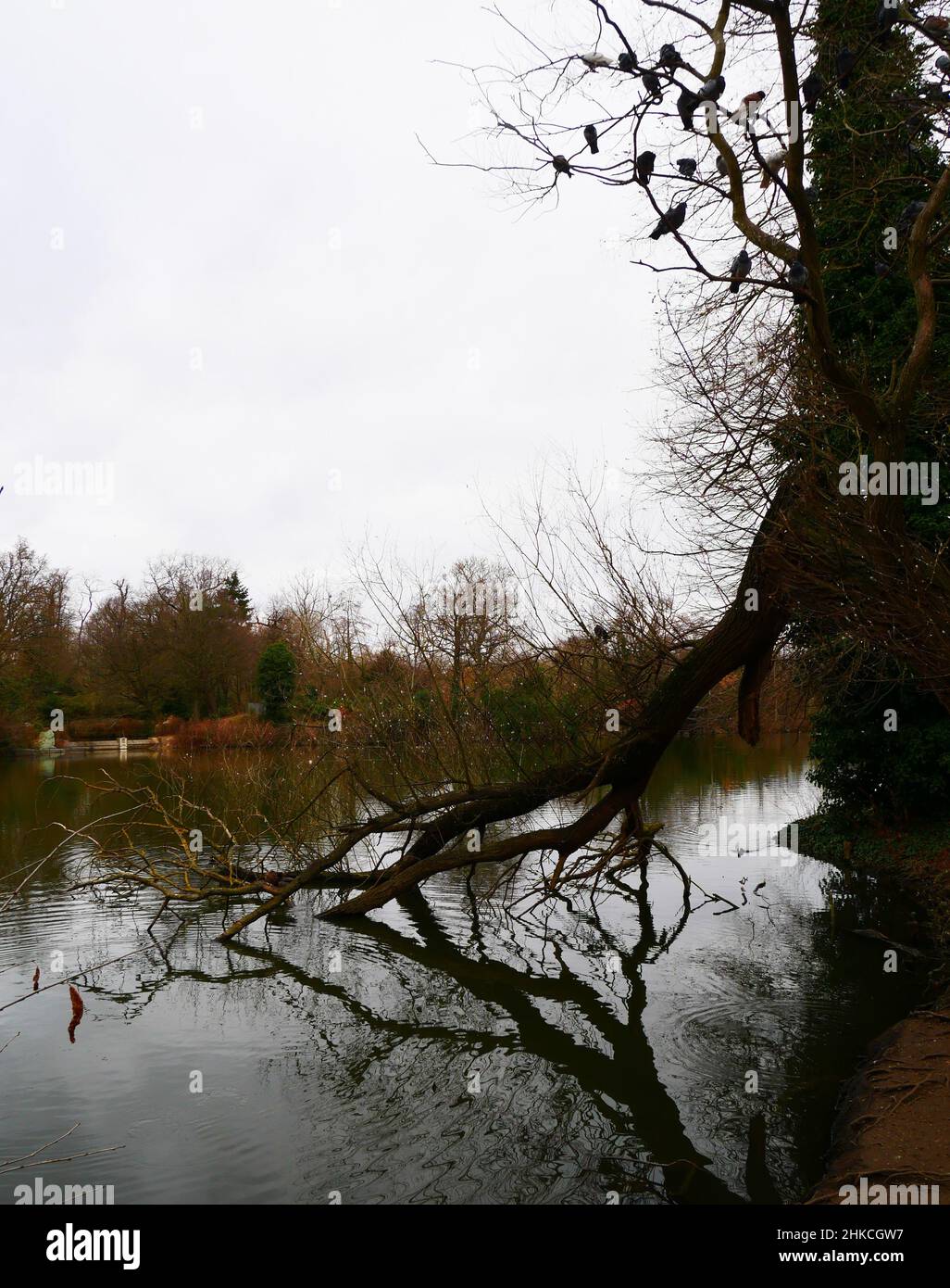 Crystal Palace Park, London, England Stock Photo - Alamy