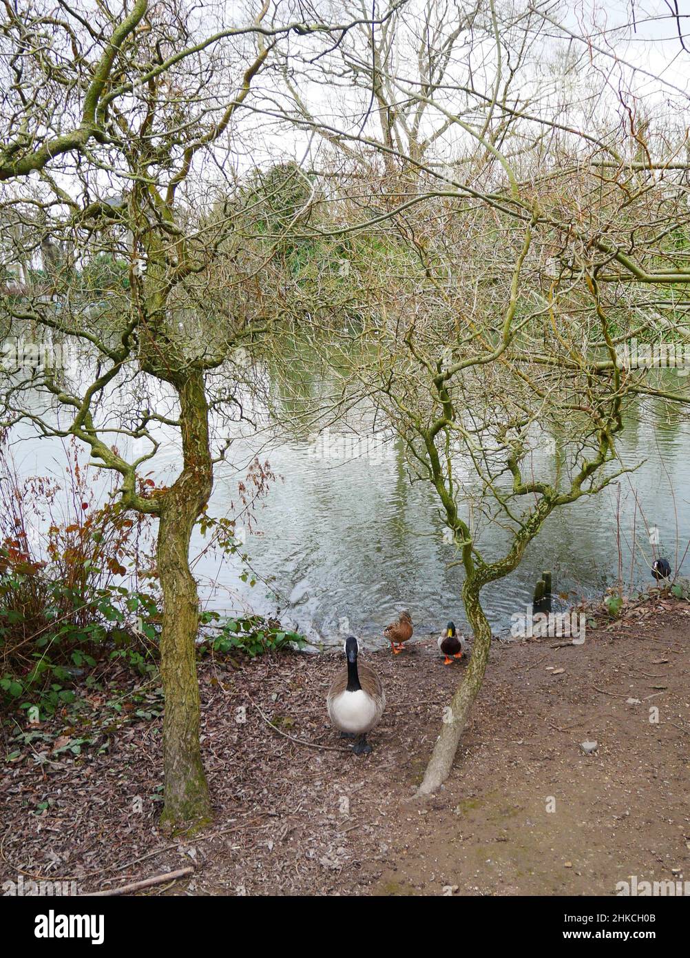 Crystal Palace Park, London, England Stock Photo - Alamy