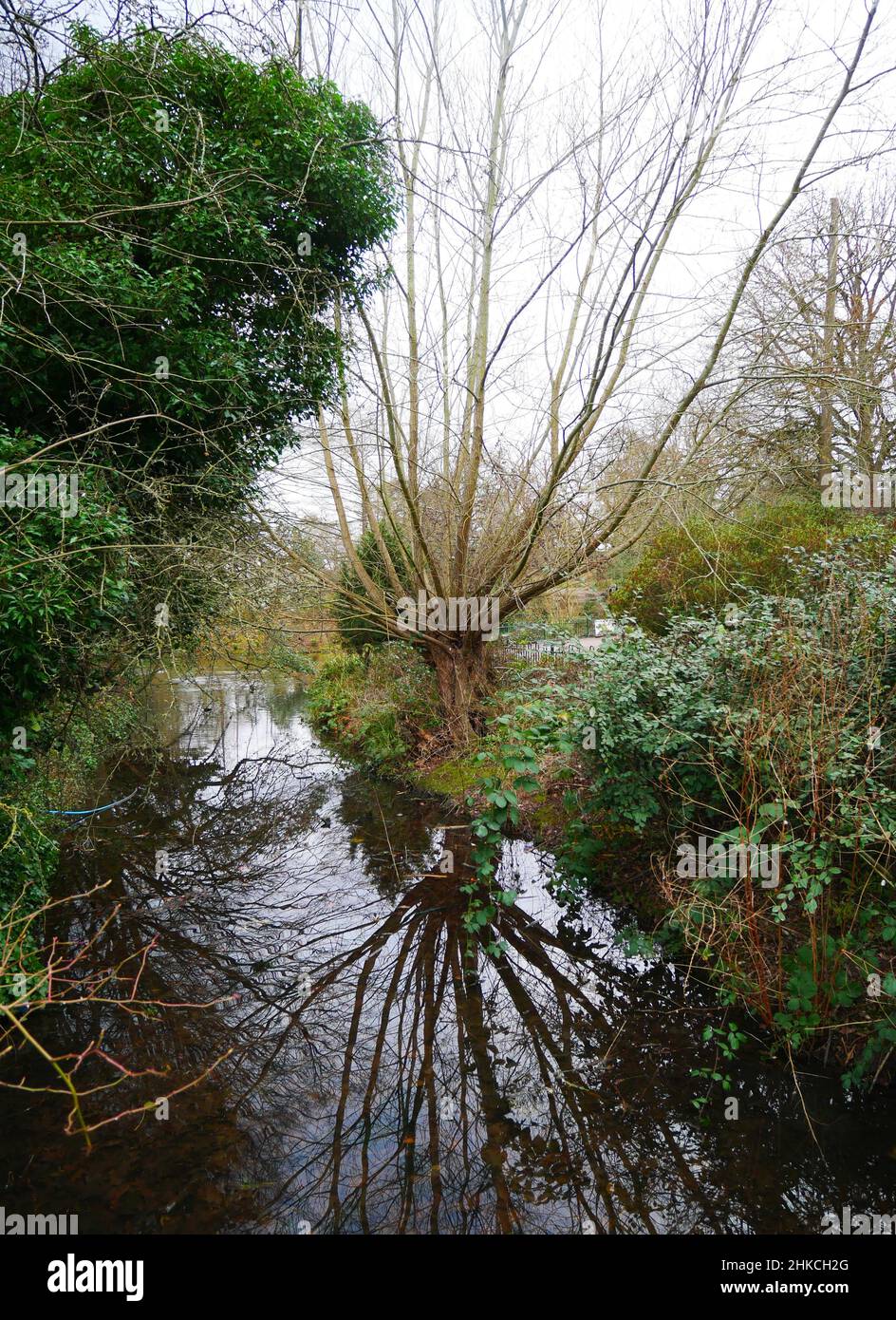 Crystal Palace Park, London, England Stock Photo - Alamy