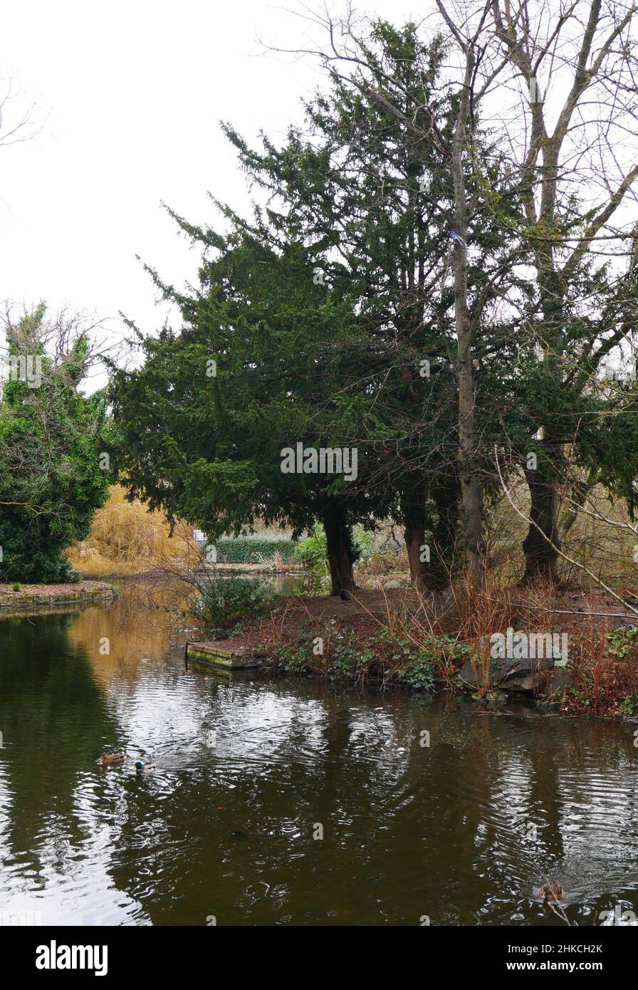 Crystal Palace Park, London, England Stock Photo - Alamy