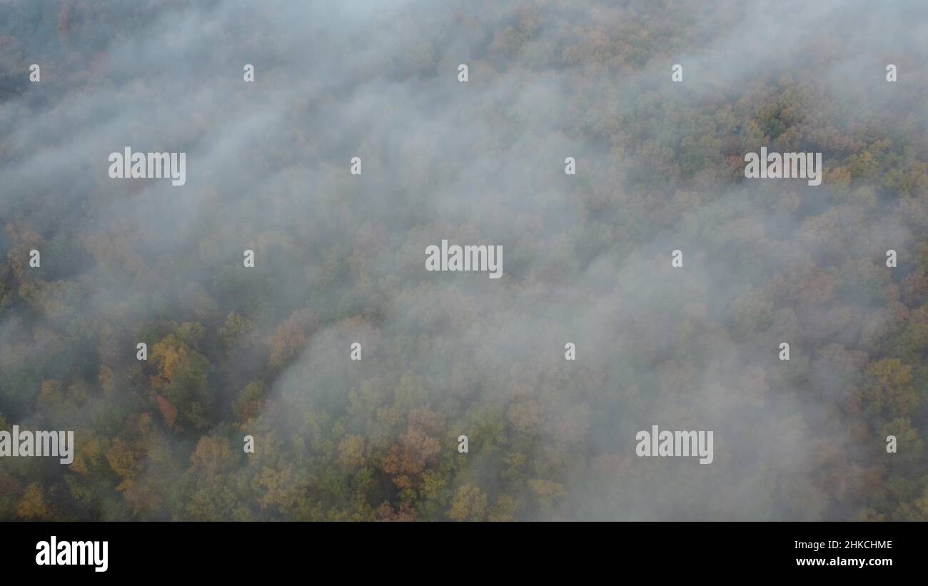 Aerial view high above the forest where the fog flies. Fog clouds fly ...