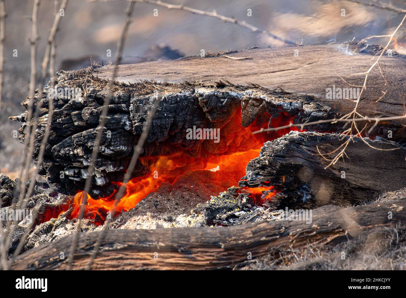 Bush Fire, South Africa Stock Photo - Alamy