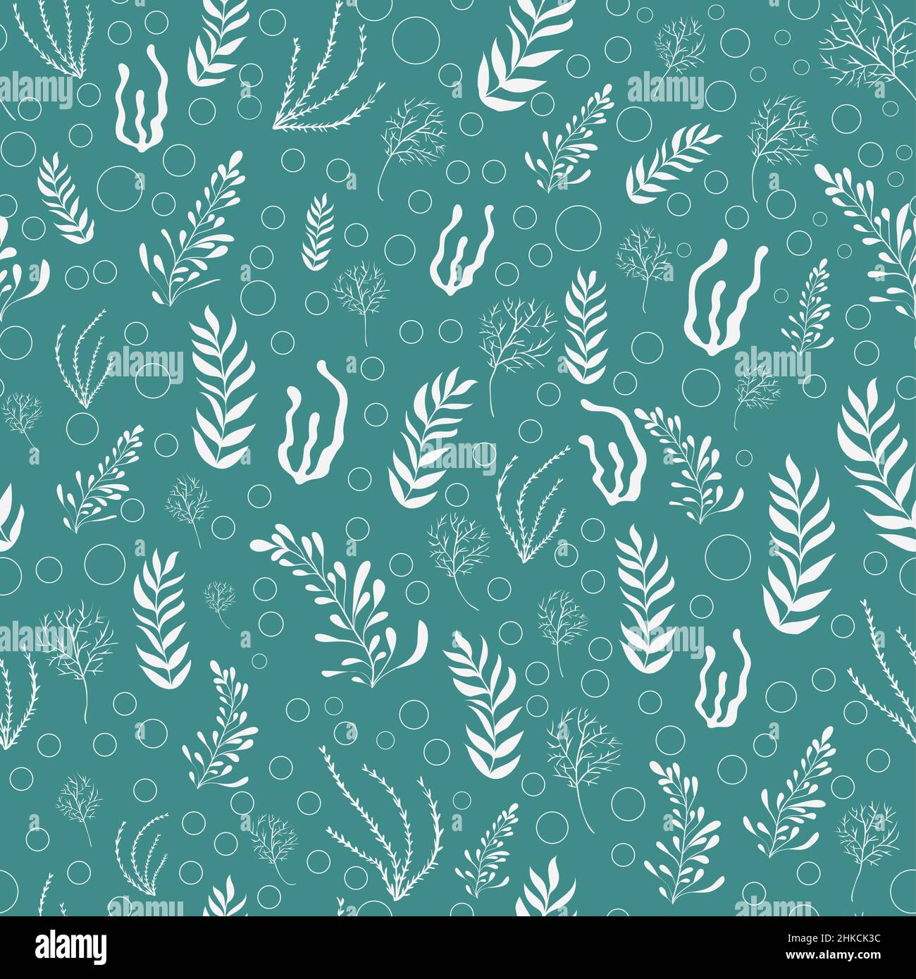 Vector hand drawn seaweed Stock Vector Images - Alamy