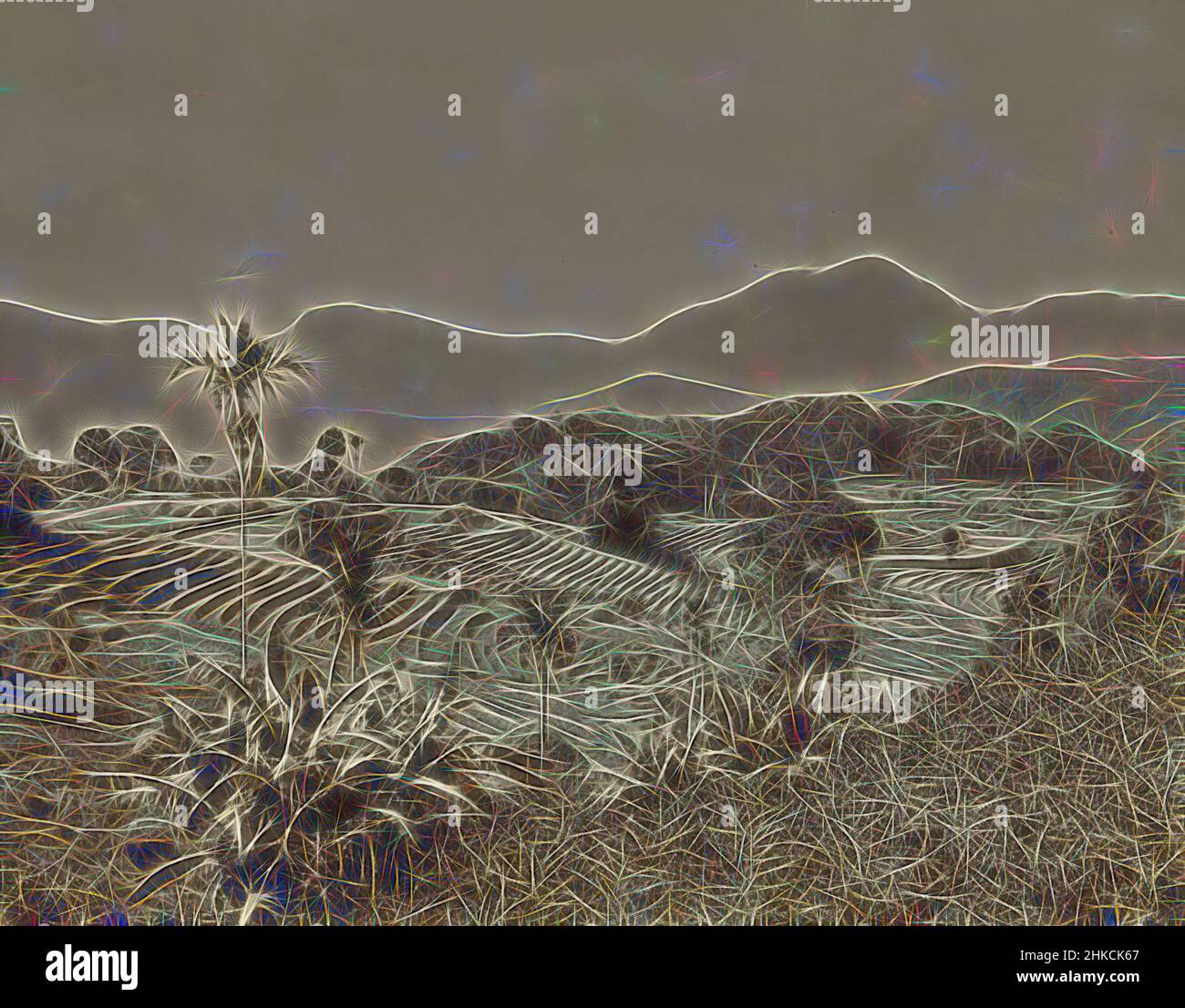 Diked land hi-res stock photography and images - Alamy