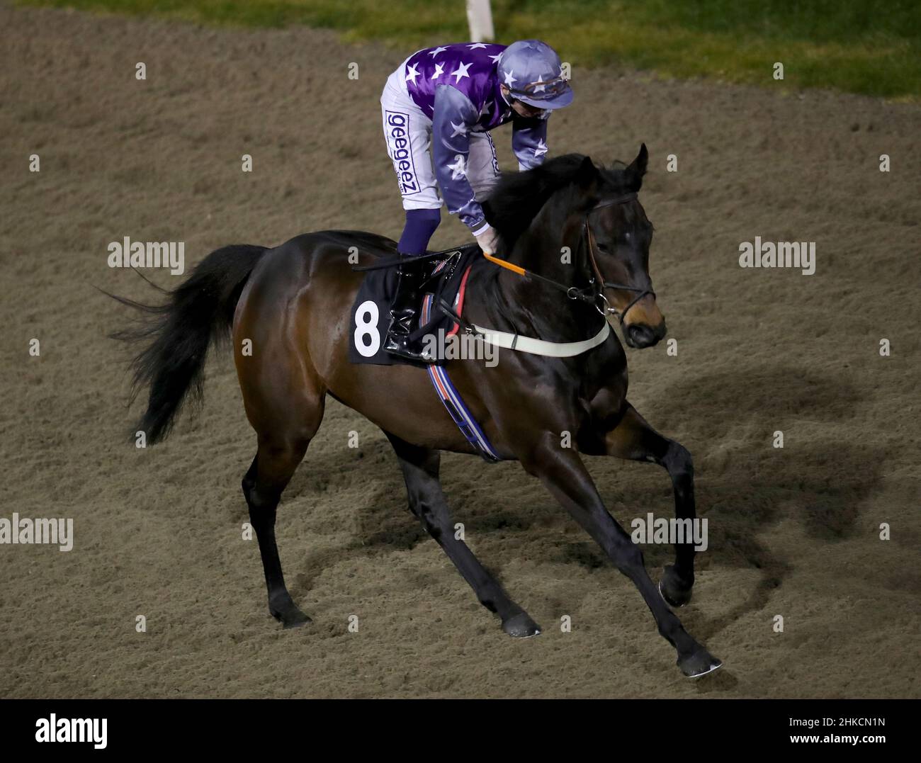 Jockey david probert going hi-res stock photography and images - Alamy