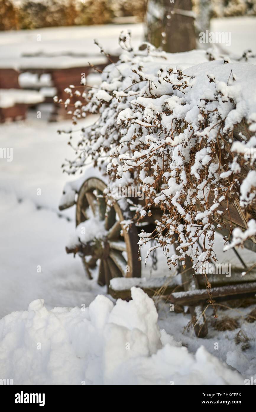 Wooden carriage covered with snow Stock Photo - Alamy