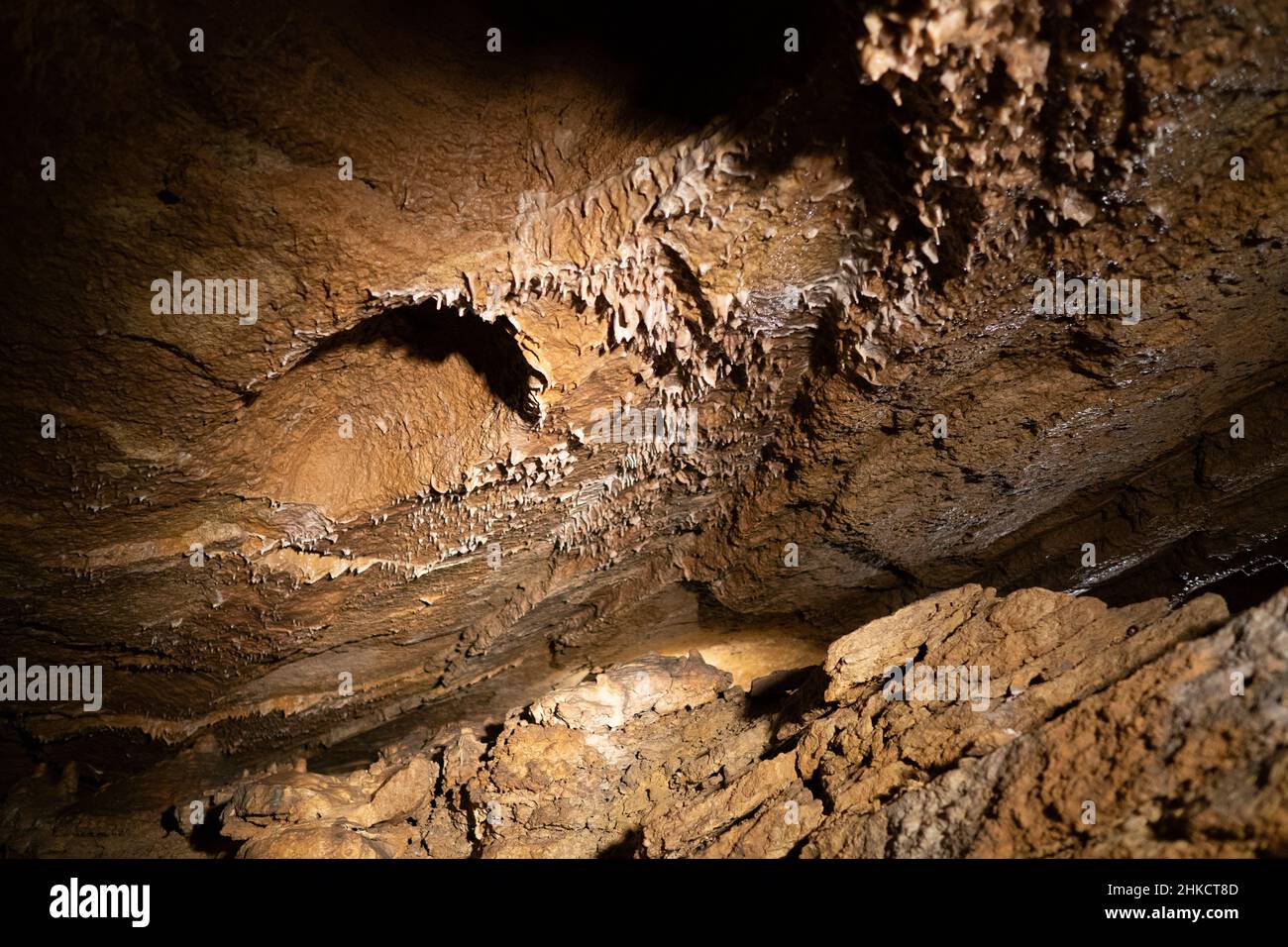 Koneprusy Caves is a cave system in the heart of the limestone region ...