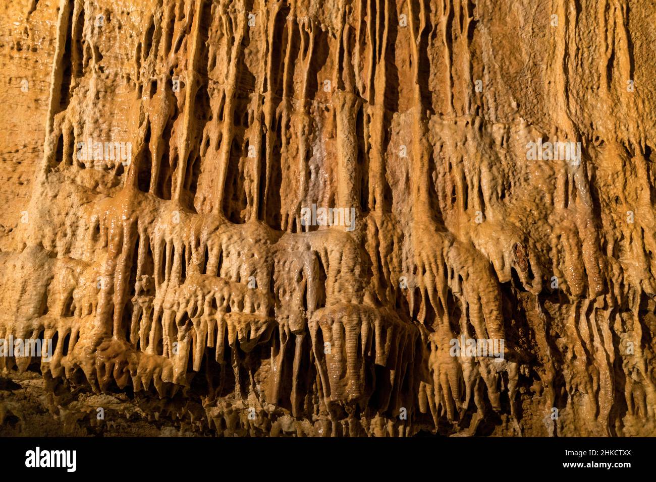 Koneprusy Caves is a cave system in the heart of the limestone region ...