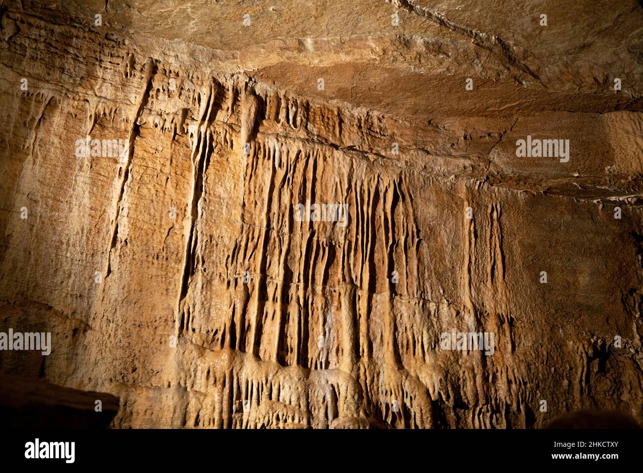 Koneprusy Caves is a cave system in the heart of the limestone region ...