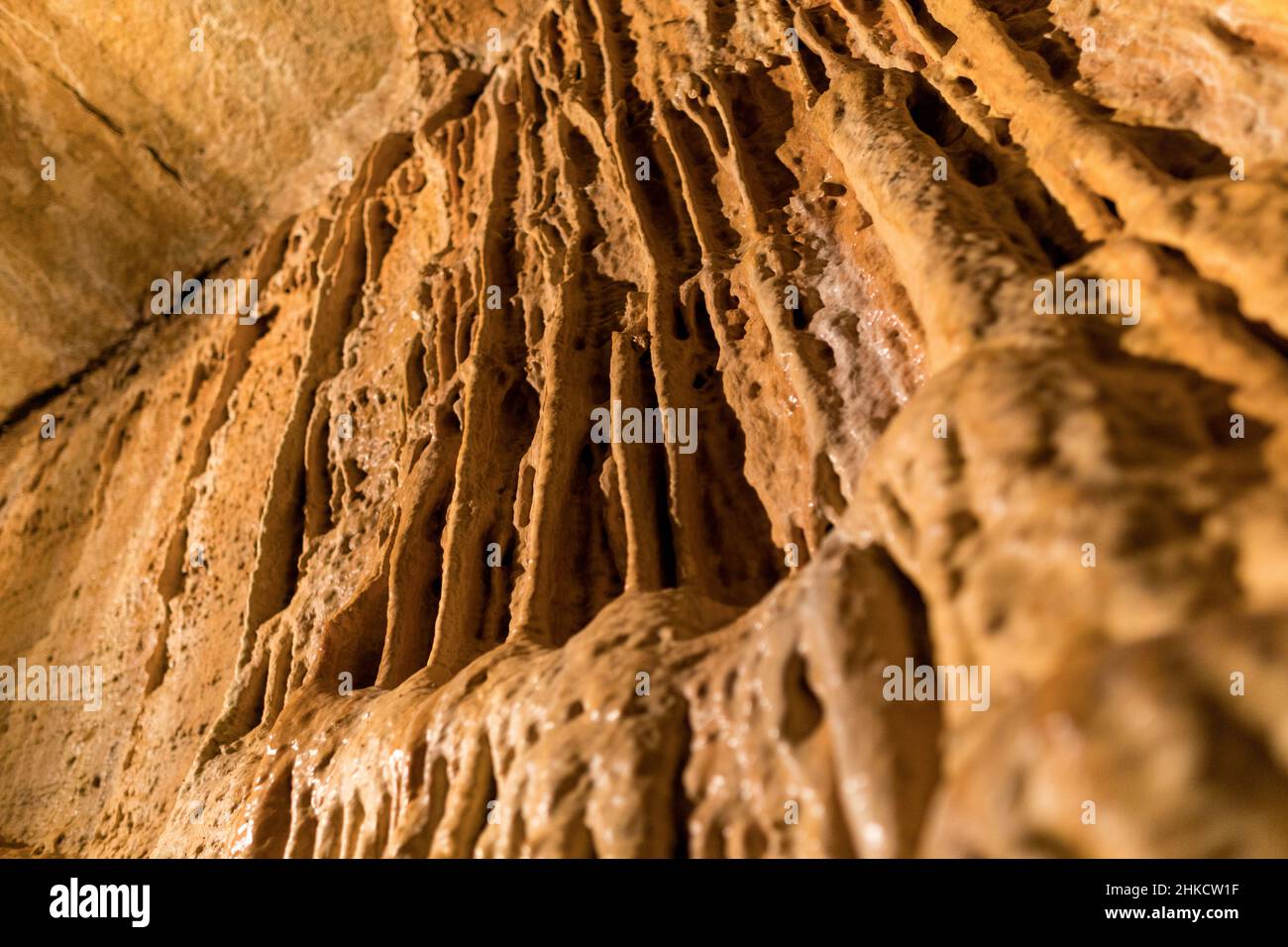 Koneprusy Caves is a cave system in the heart of the limestone region ...