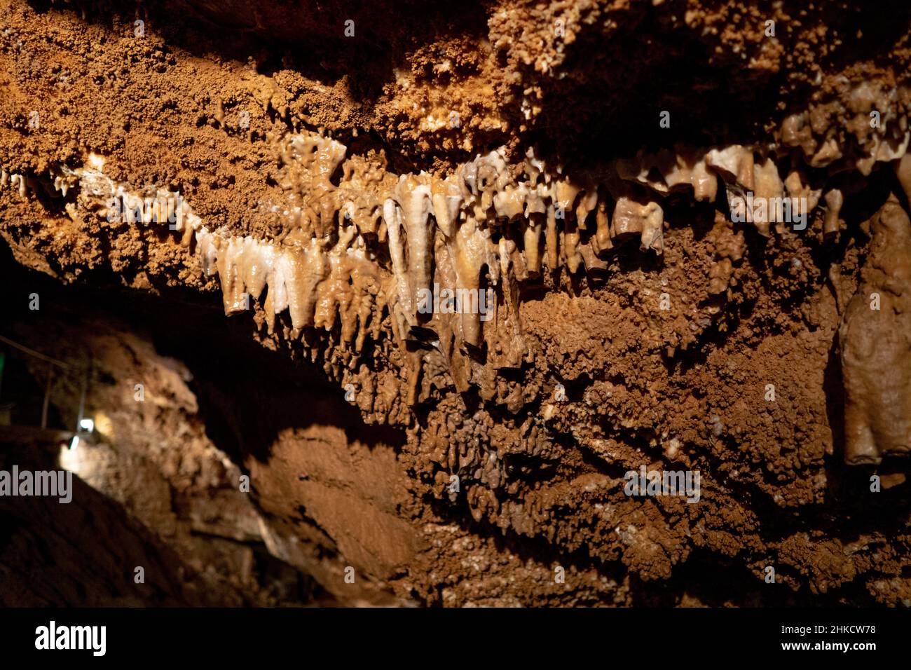 Koneprusy Caves is a cave system in the heart of the limestone region ...
