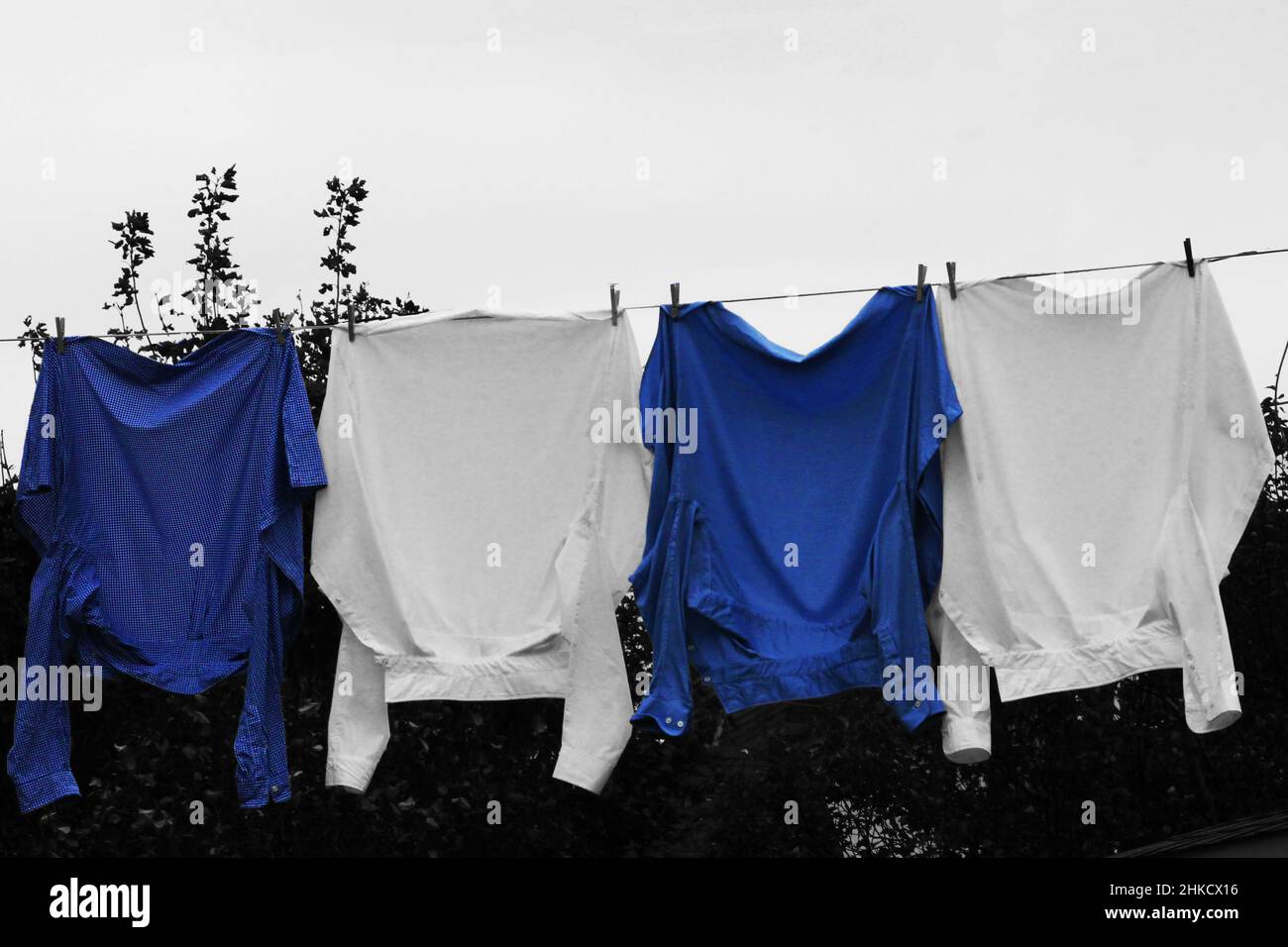 Close-up of four shirts on a clothesline. Two blue shirts in color ...