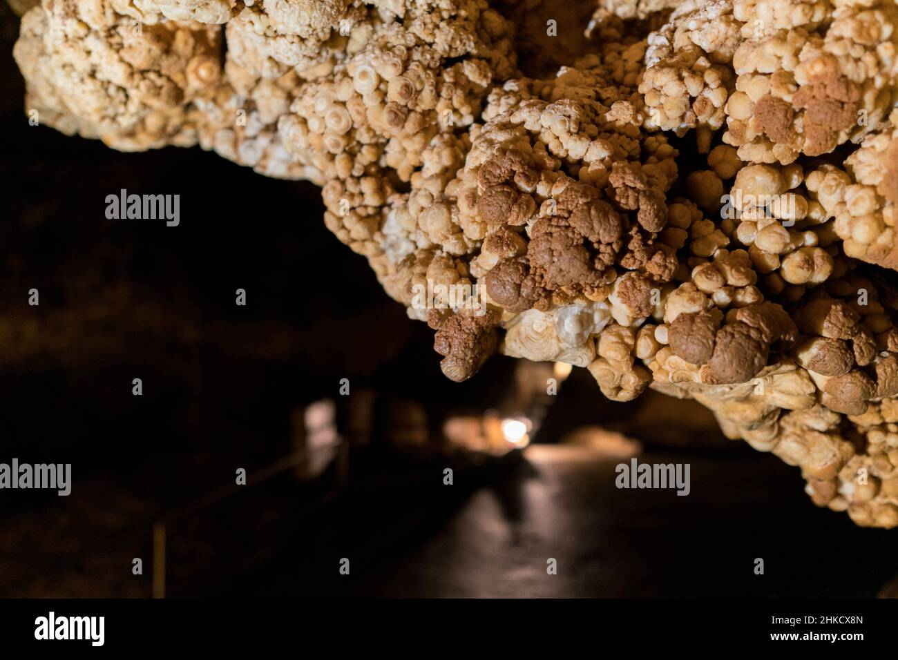 Koneprusy Caves is a cave system in the heart of the limestone region ...