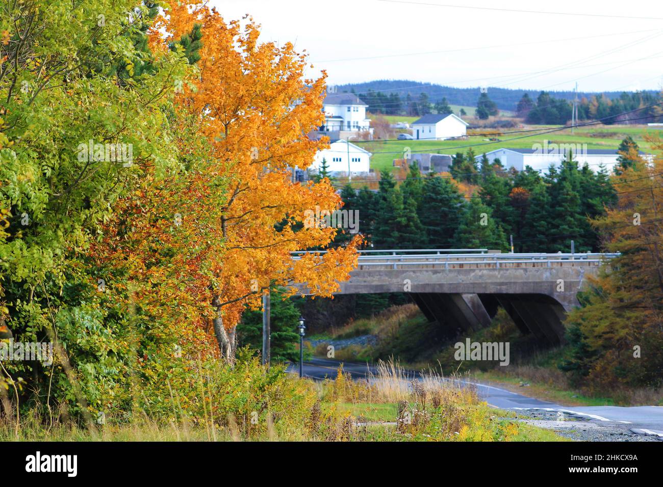 Two highway bridges spanning a country road, autumn Stock Photo - Alamy
