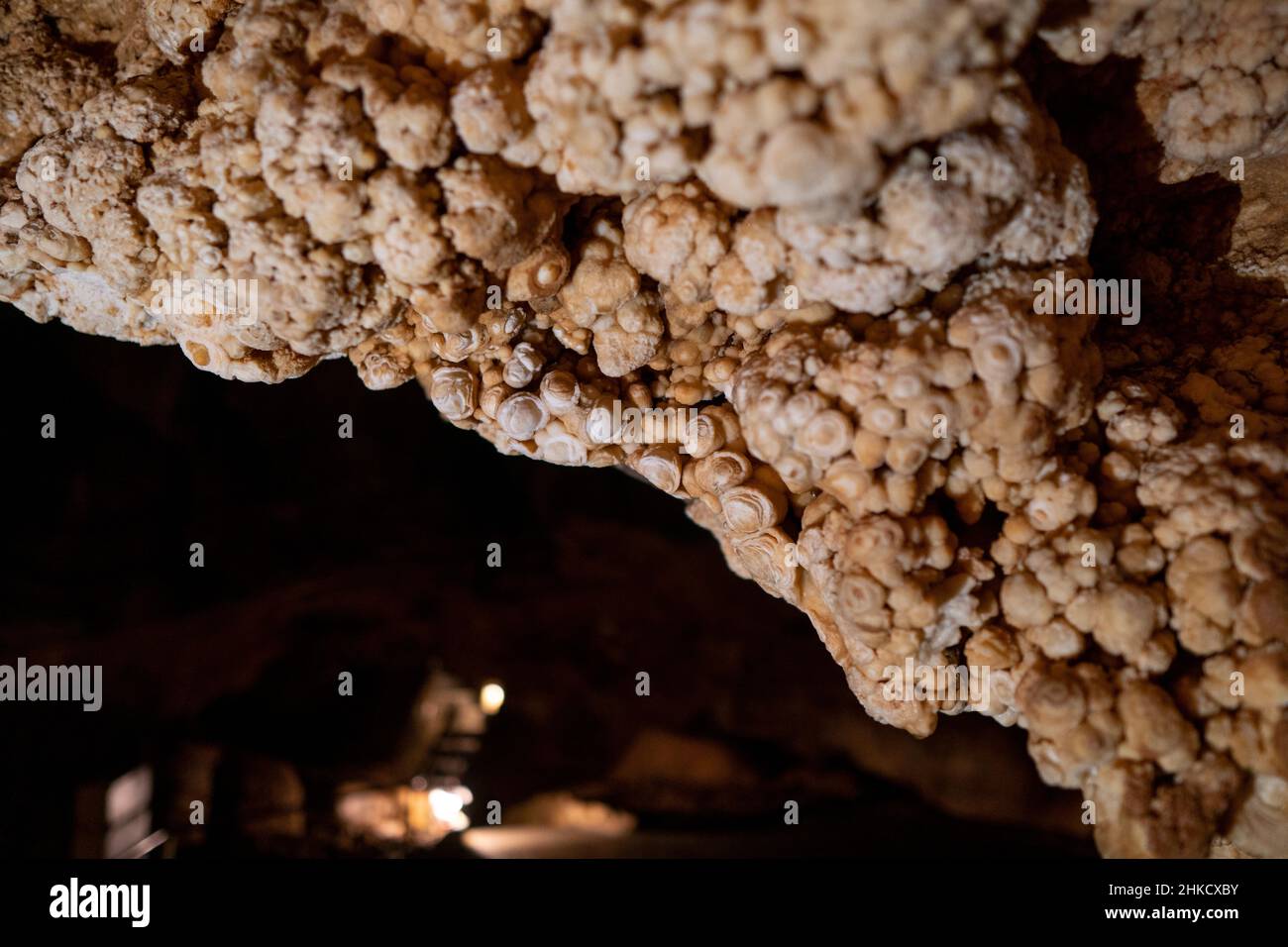 Koneprusy Caves is a cave system in the heart of the limestone region ...