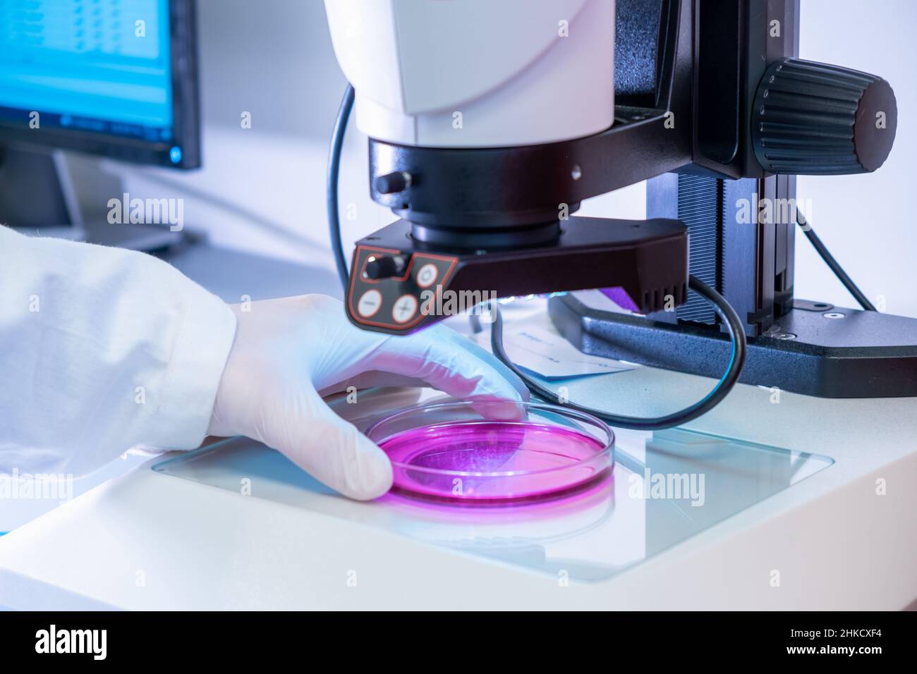 Scientist in latex gloves and lab coat putting samples under electronic ...