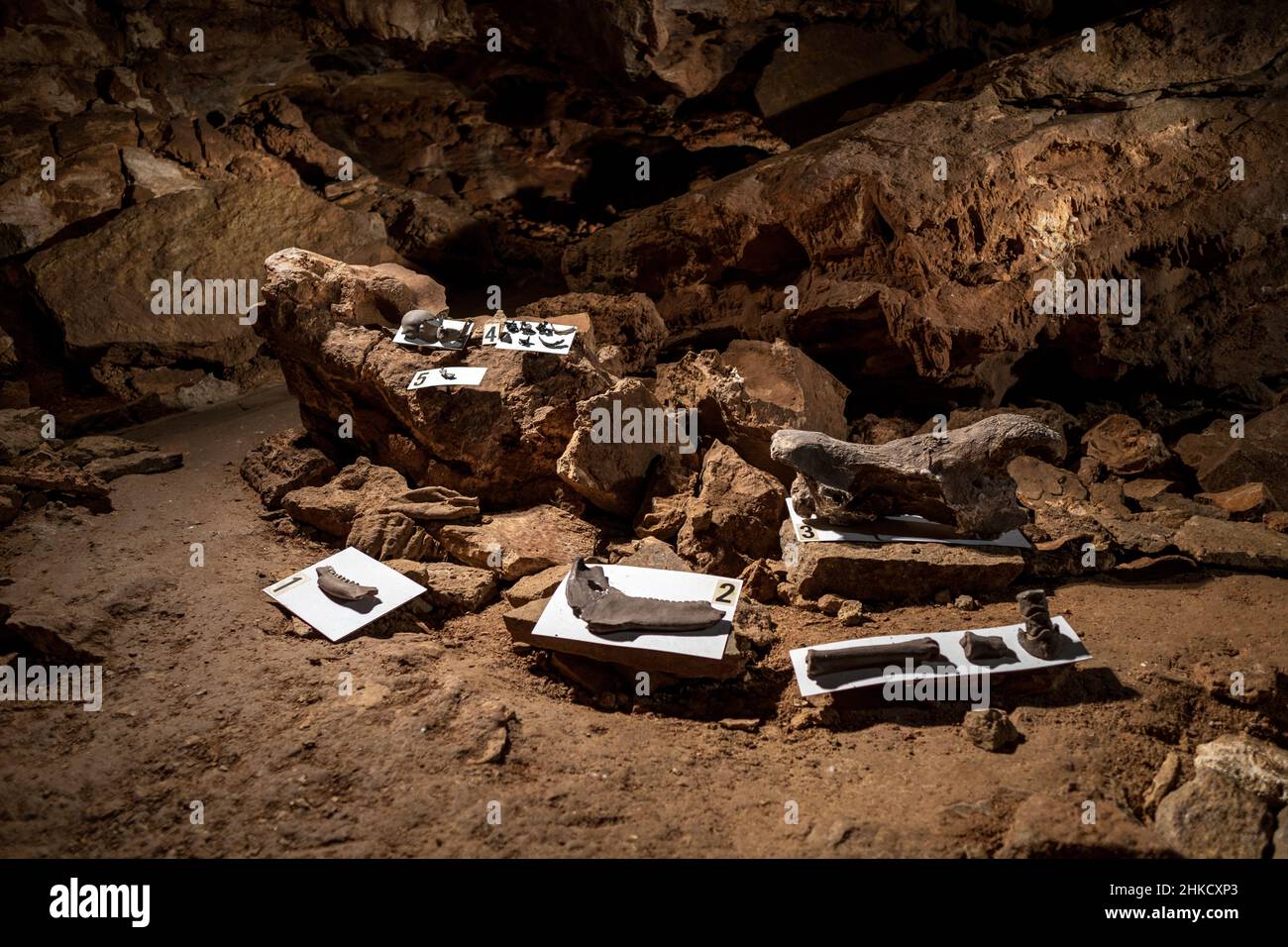 Koneprusy Caves is a cave system in the heart of the limestone region ...