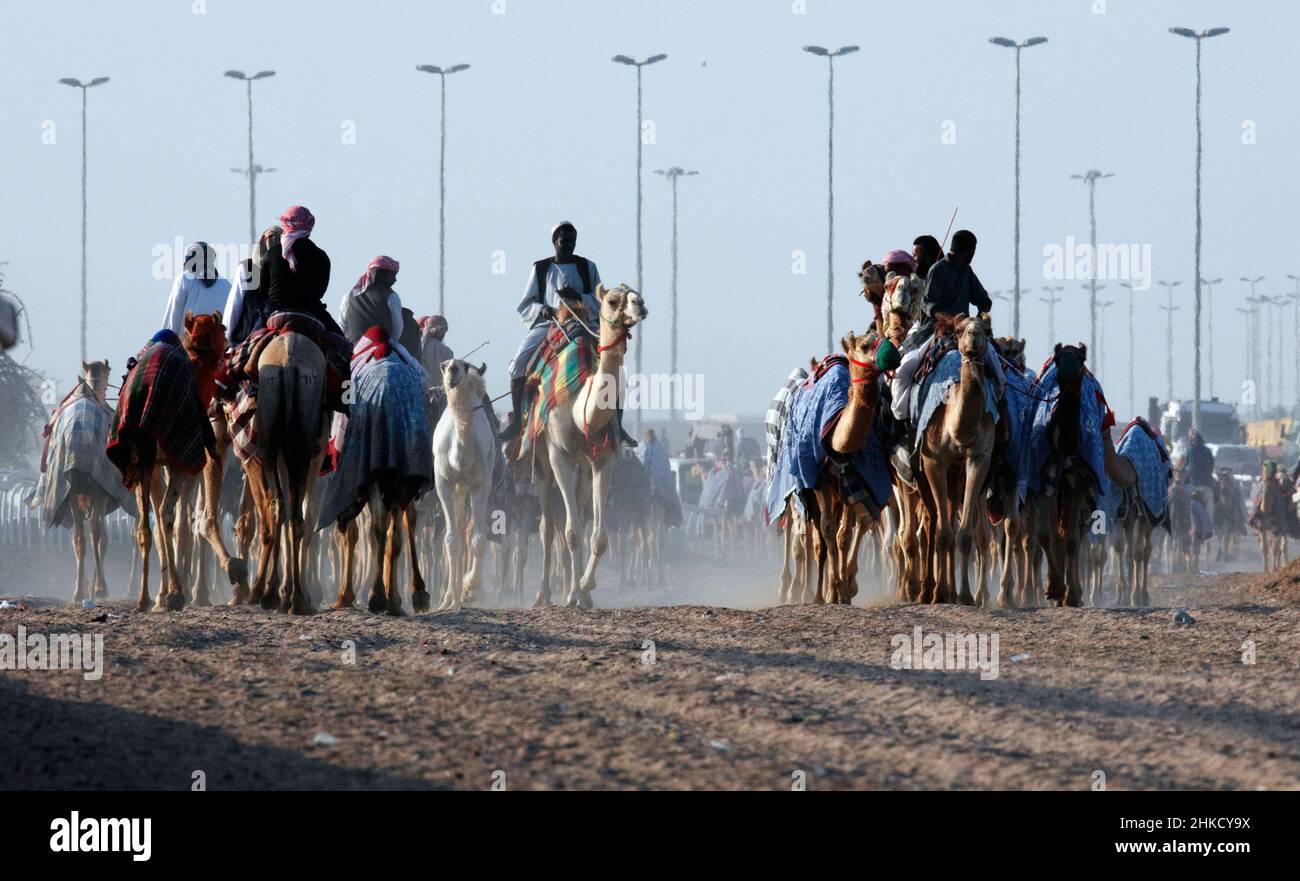 Arabian Camel race at Shahaniya QATAR Stock Photo - Alamy