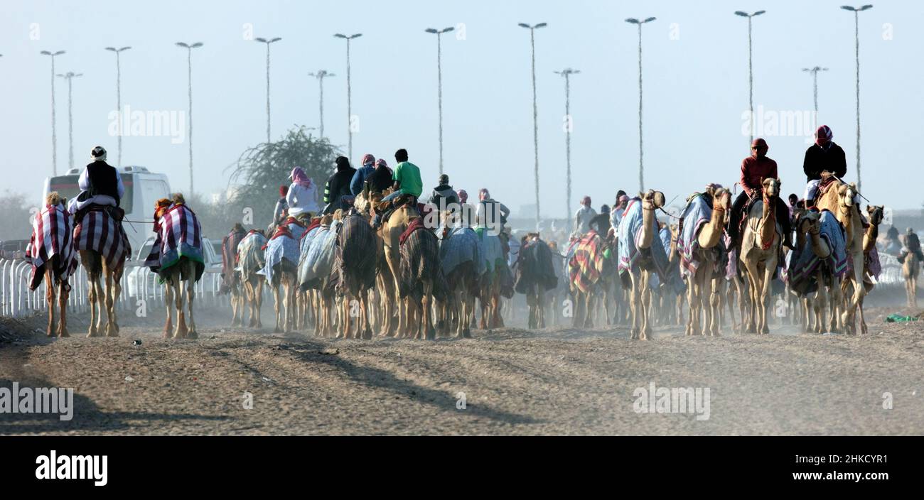 Arabian Camel race at Shahaniya QATAR Stock Photo - Alamy