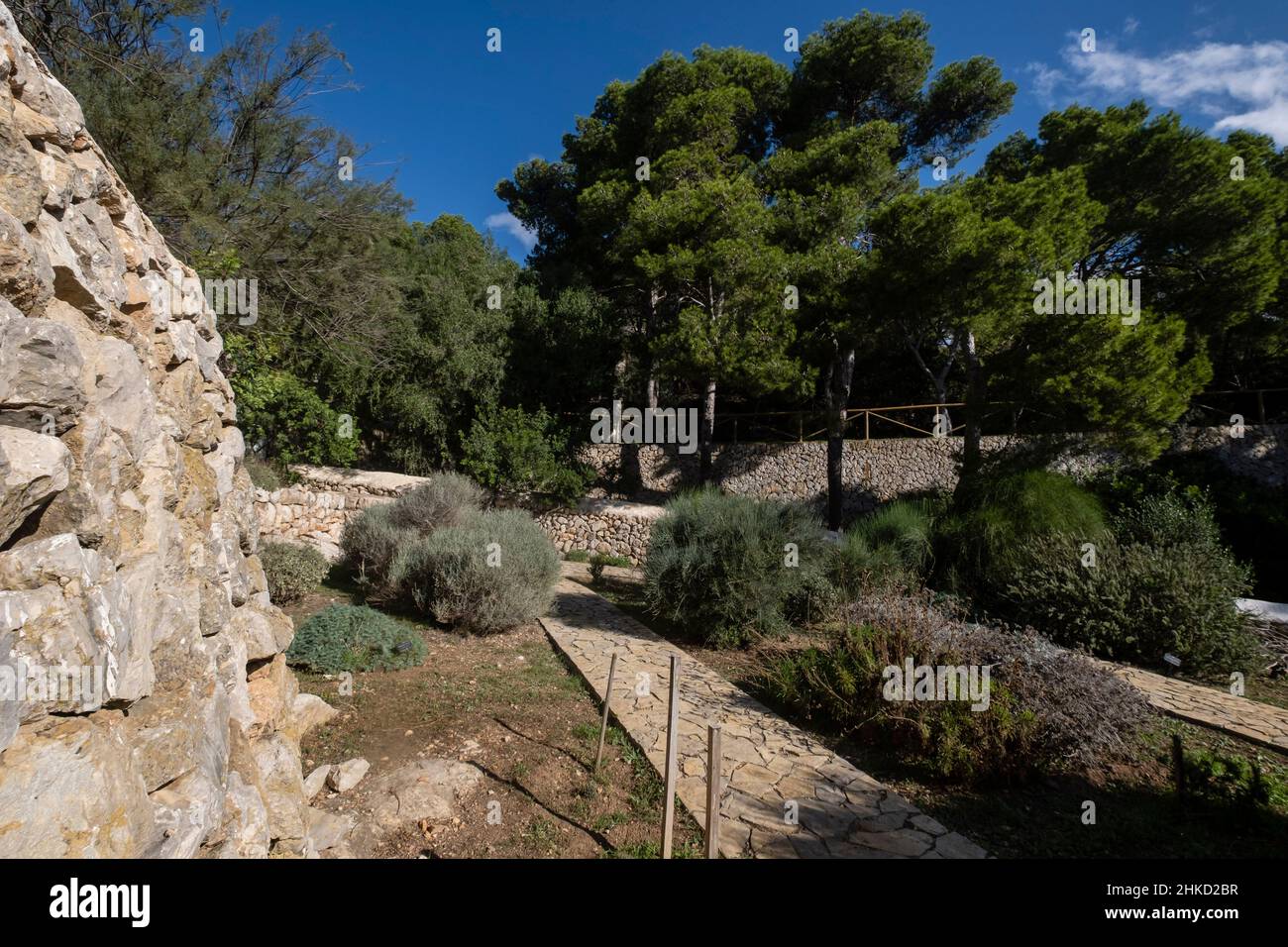 Mediterranean garden of native plants, Sa Dragonera natural park ...