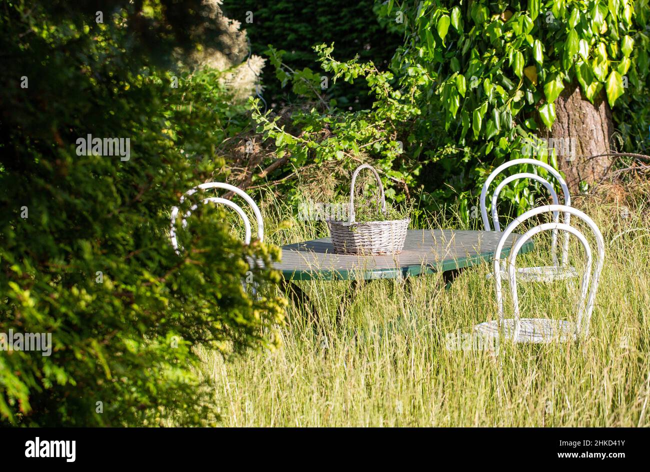 Garden Furniture Shop Ongar at Helen Ervin blog