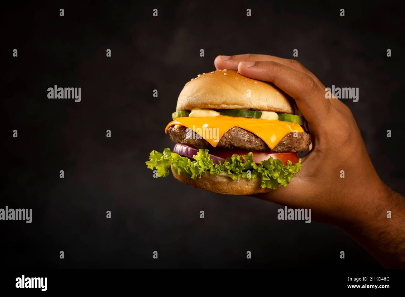 Hand holding grilled cheese sandwich hi-res stock photography and ...