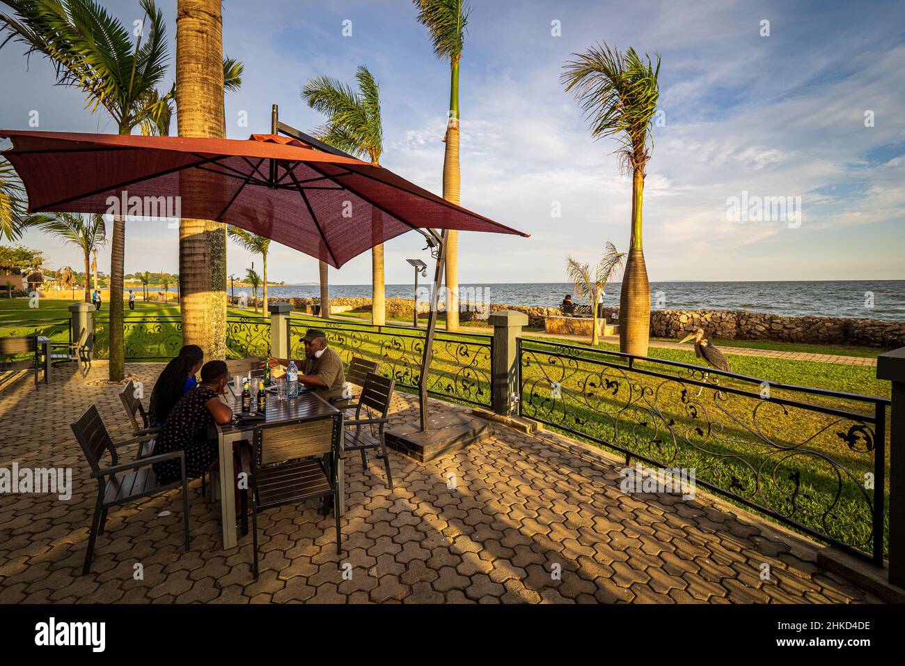 A marabou stalks past people sitting on the terrace of an upscale ...