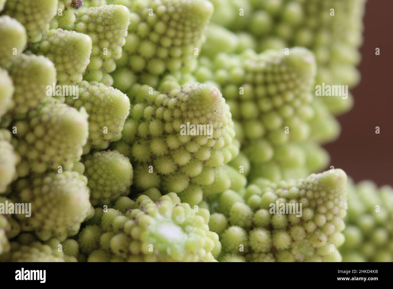 Romanesco Cauliflower florets Stock Photo - Alamy