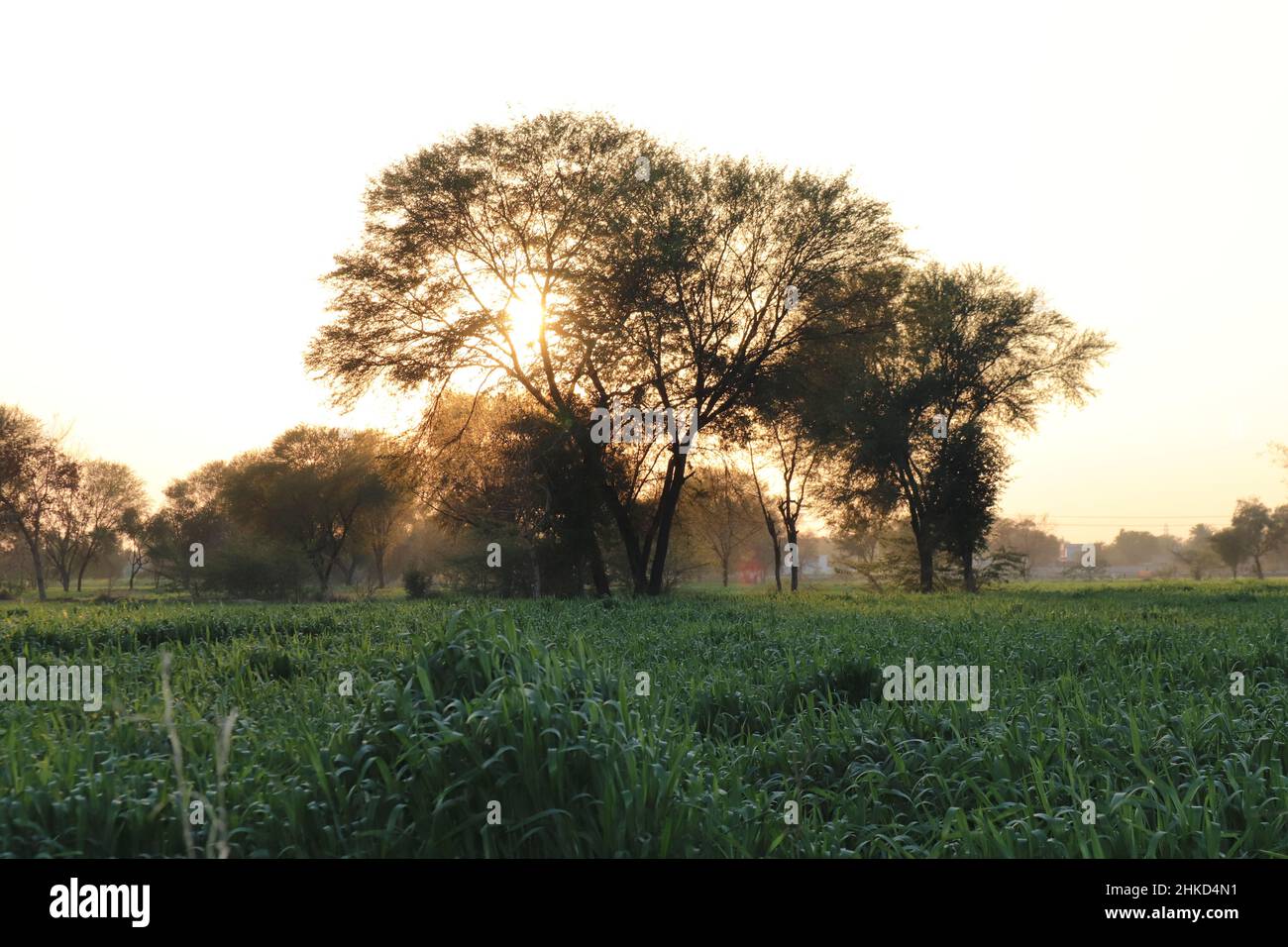 Gross hill hi-res stock photography and images - Alamy