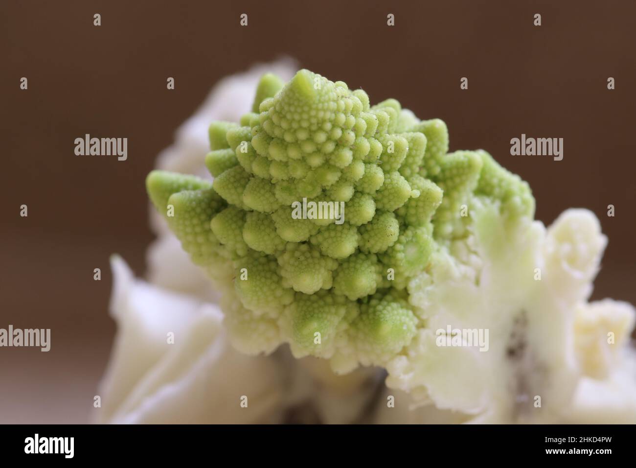 Romanesco Cauliflower florets Stock Photo - Alamy