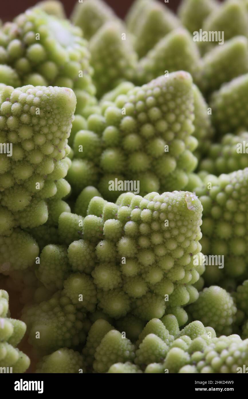 Romanesco Cauliflower florets Stock Photo - Alamy