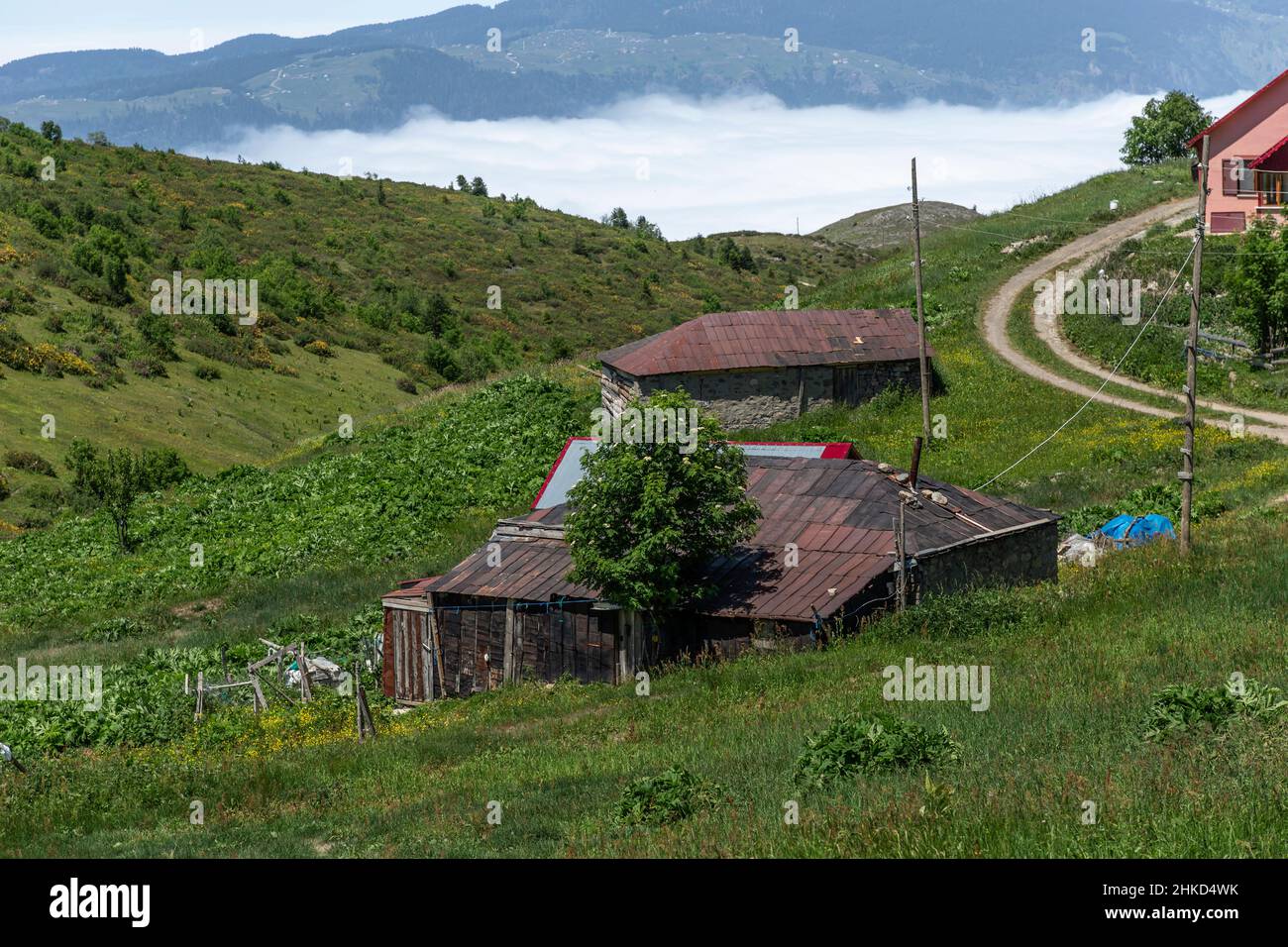 Trabzon, the ninth largest city in Turkey, gets full marks from its ...