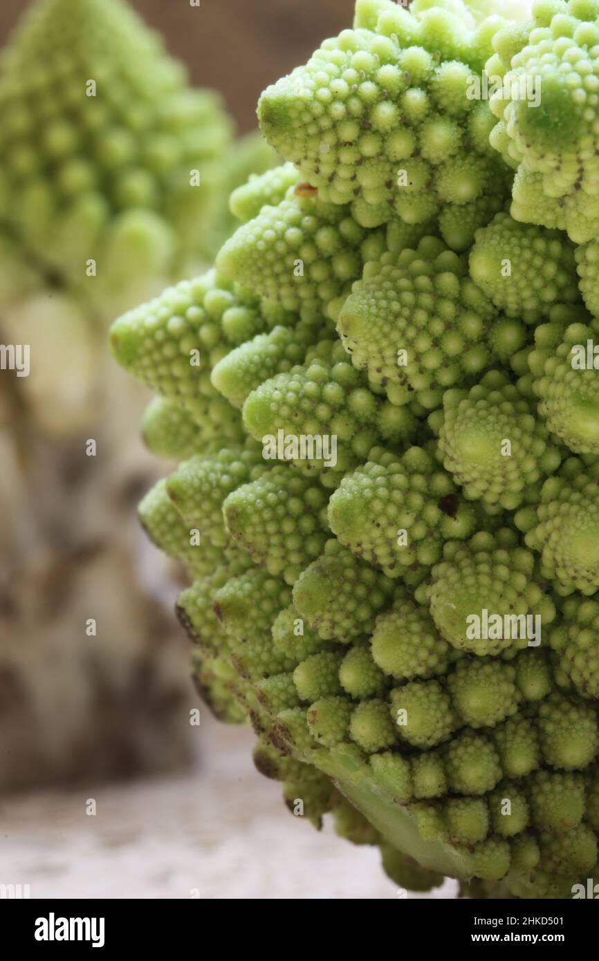 Romanesco Cauliflower florets Stock Photo - Alamy