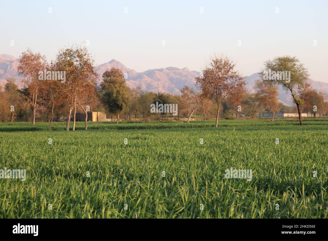 Beautiful landscape of mountains in Punjab Pakistan Stock Photo - Alamy