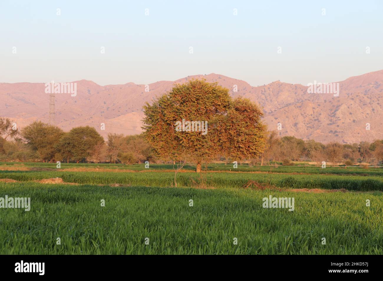 Beautiful landscape of mountains in Punjab Pakistan Stock Photo - Alamy