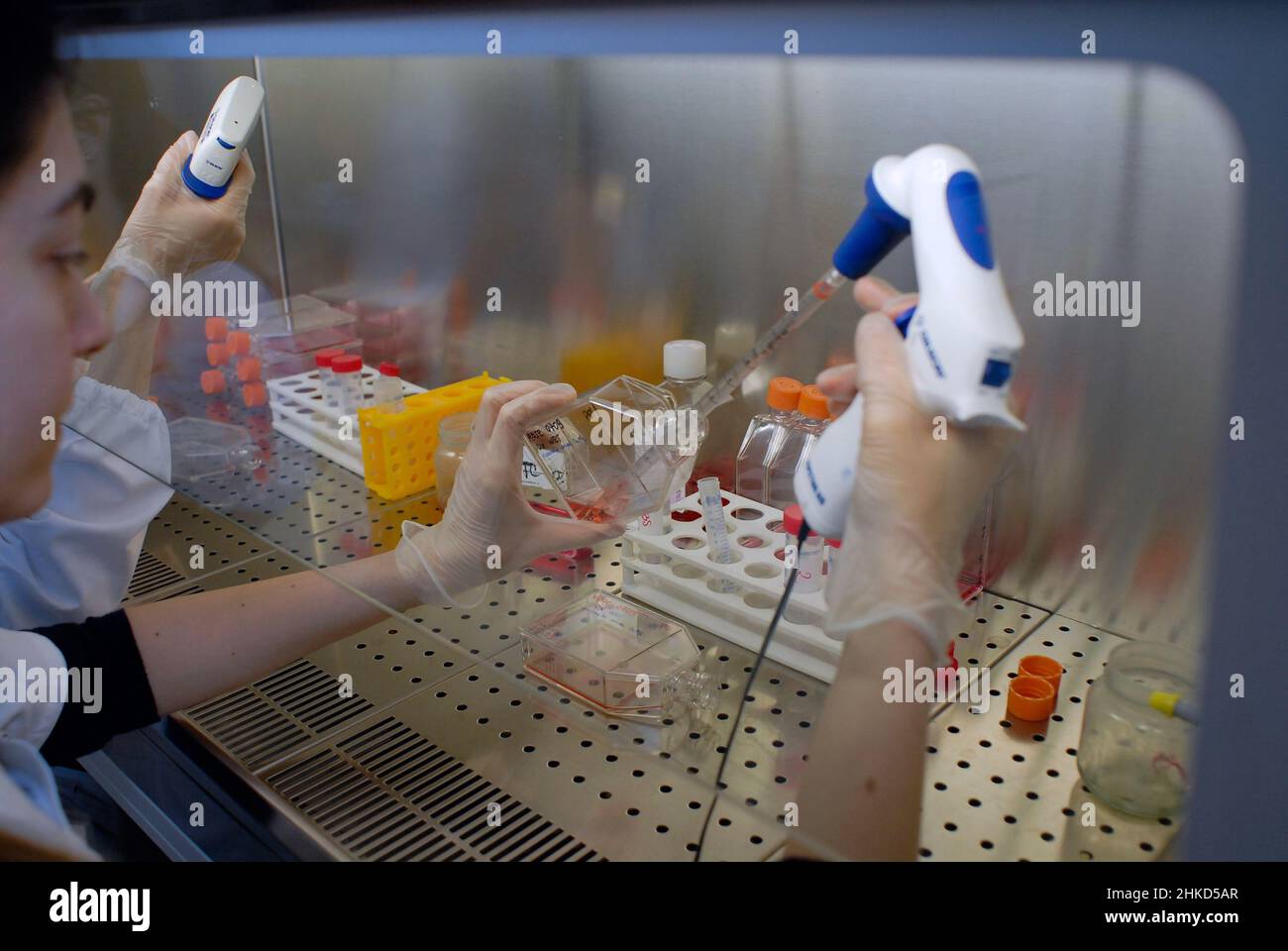 Bologna, Italy 30/03/2009: Laboratory of Cell Biology S'Orsola hospital ...