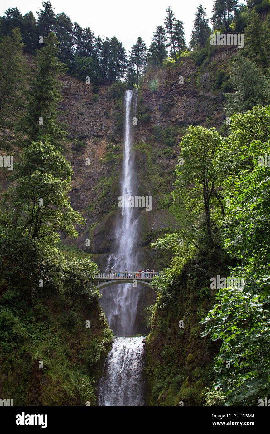water is life Stock Photo - Alamy
