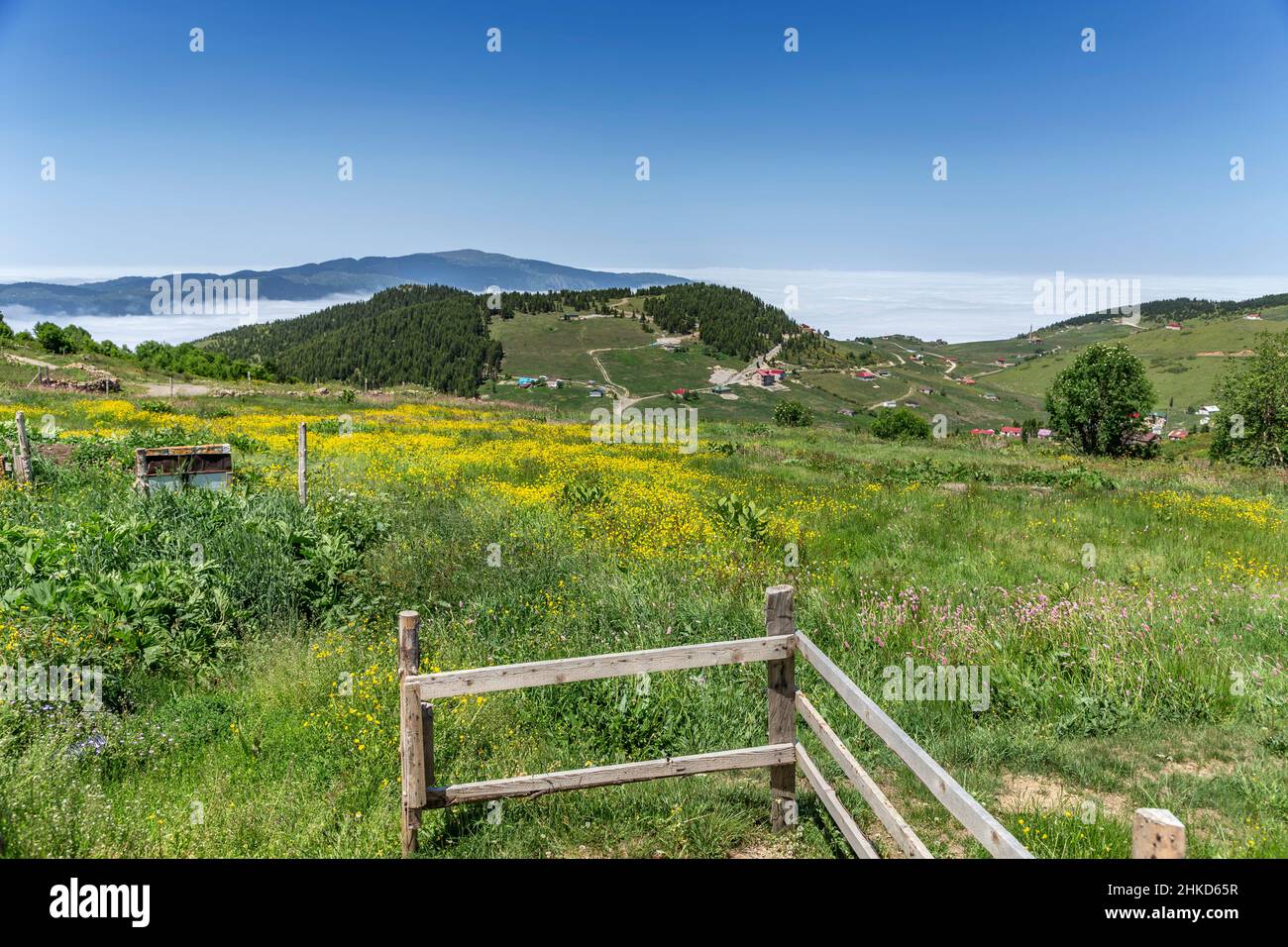Trabzon, the ninth largest city in Turkey, gets full marks from its ...