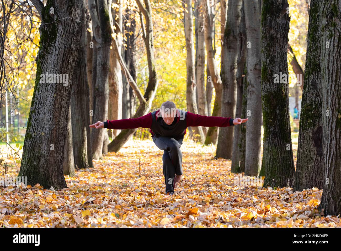 Yoga exercise human leaf tree hi-res stock photography and images - Alamy