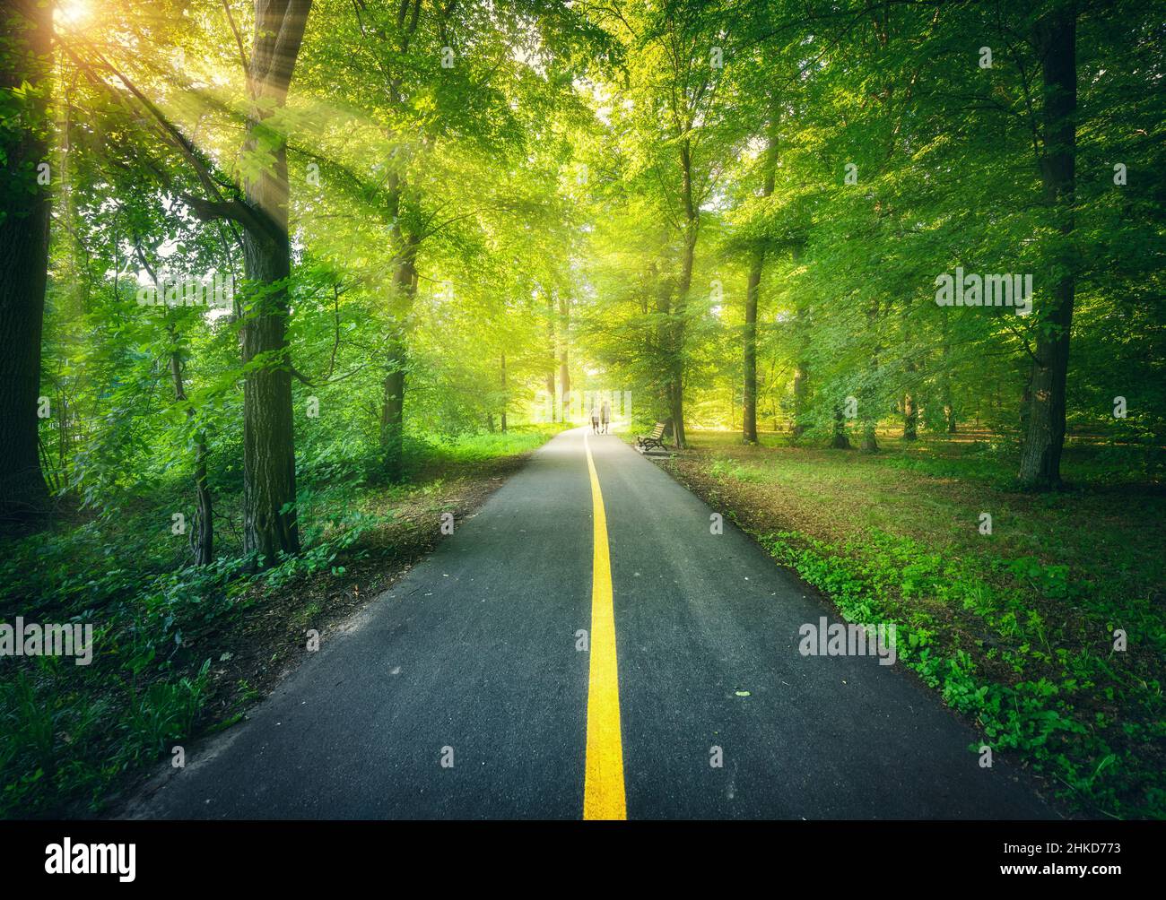 Path pathway walk walkway trail hi-res stock photography and images - Alamy