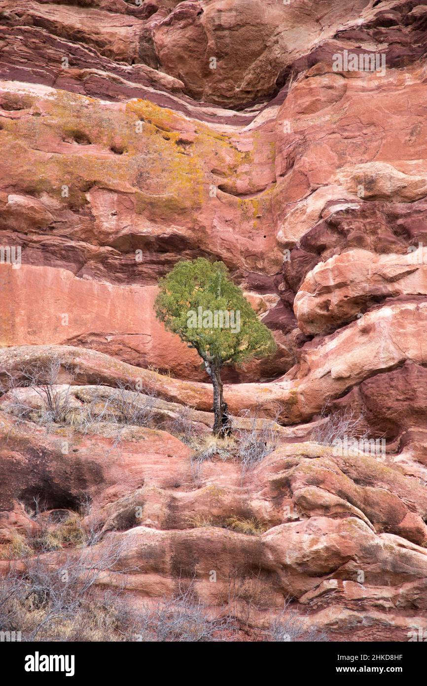 Colorado river fly fishing hi-res stock photography and images - Alamy