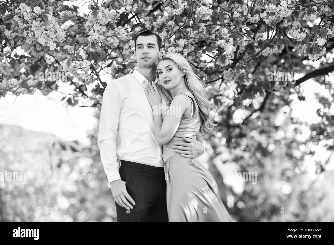 Summer happiness. newlyweds at blooming pink sakura. spring wedding ...