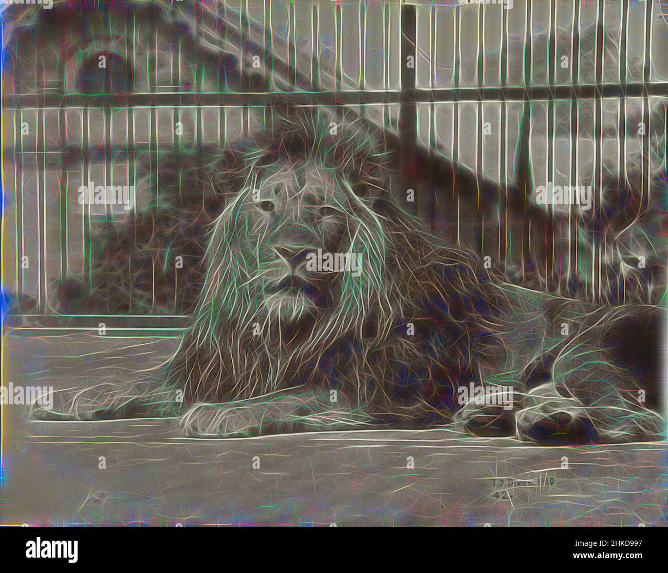 Inspired by Lion at the London Zoo, Thomas James Dixon, London, 1880 ...